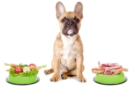 How To Read A Dog Food Label | Sweetwater Nutrition®